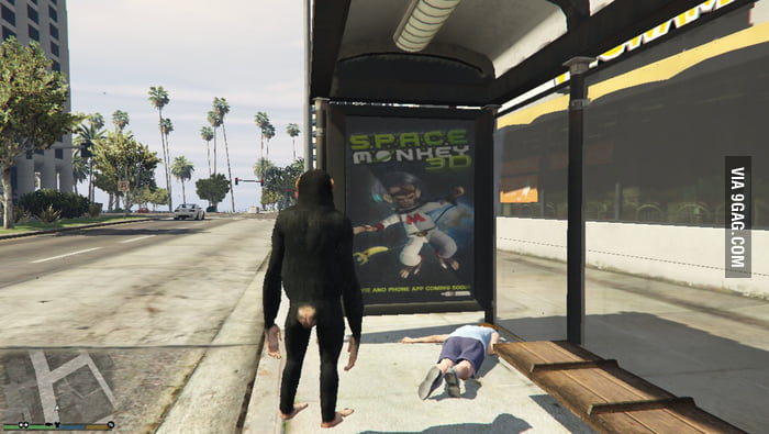 Monkey see Monkey do? - 9GAG