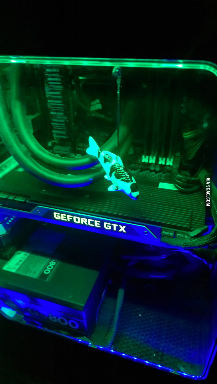 This guy puts a fish in his PC - 9GAG