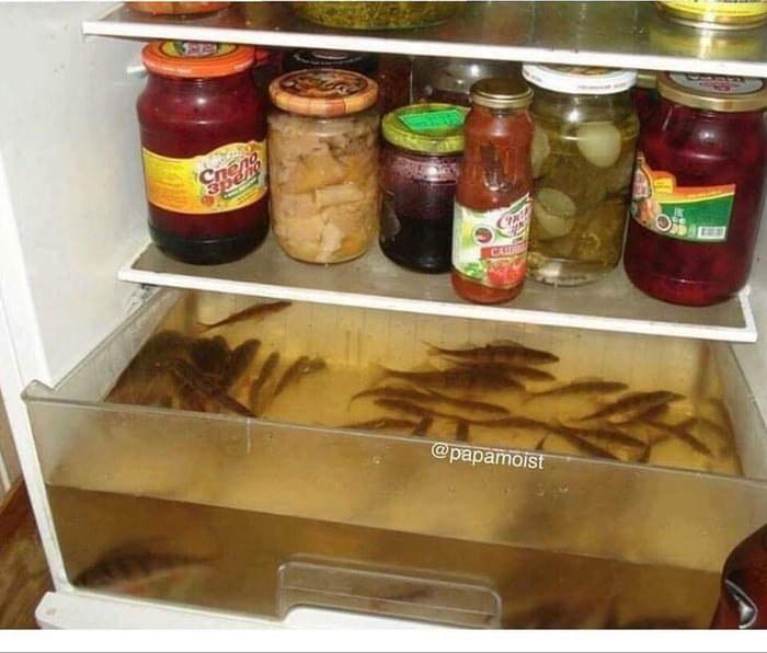 Ordinary slavic fridge - 9GAG