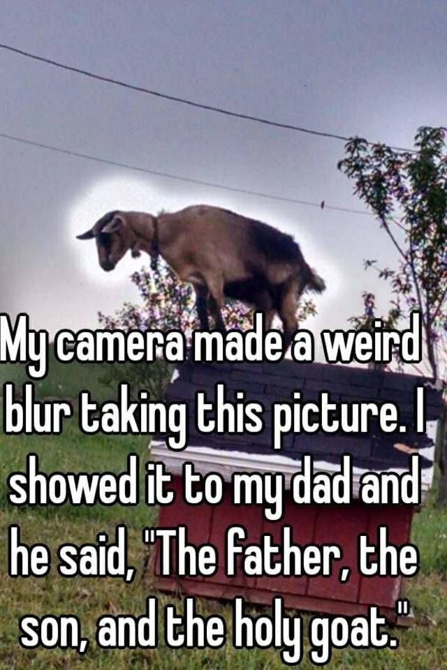 All hail the holy goat - 9GAG