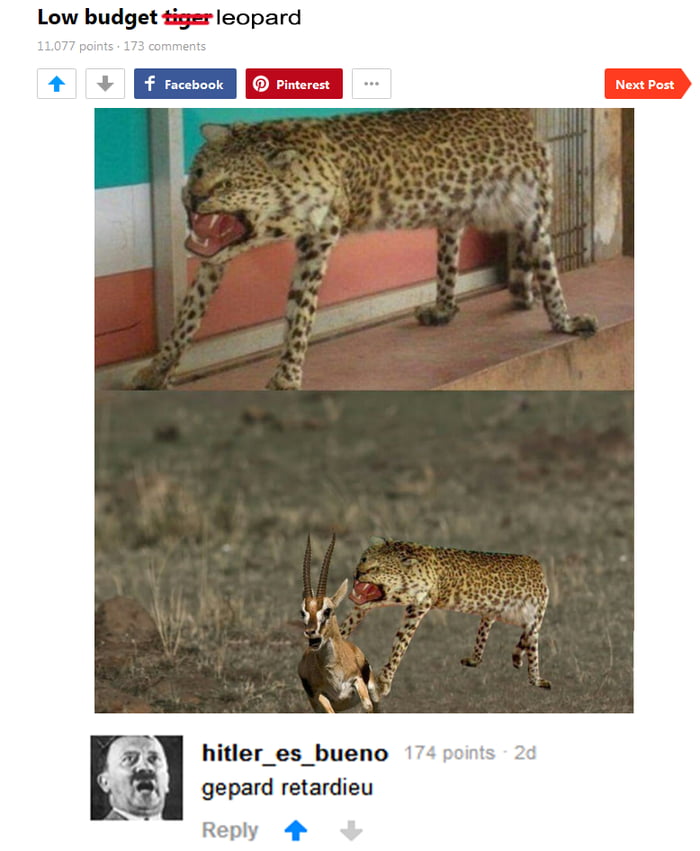 Gepard Retardieu - 9GAG
