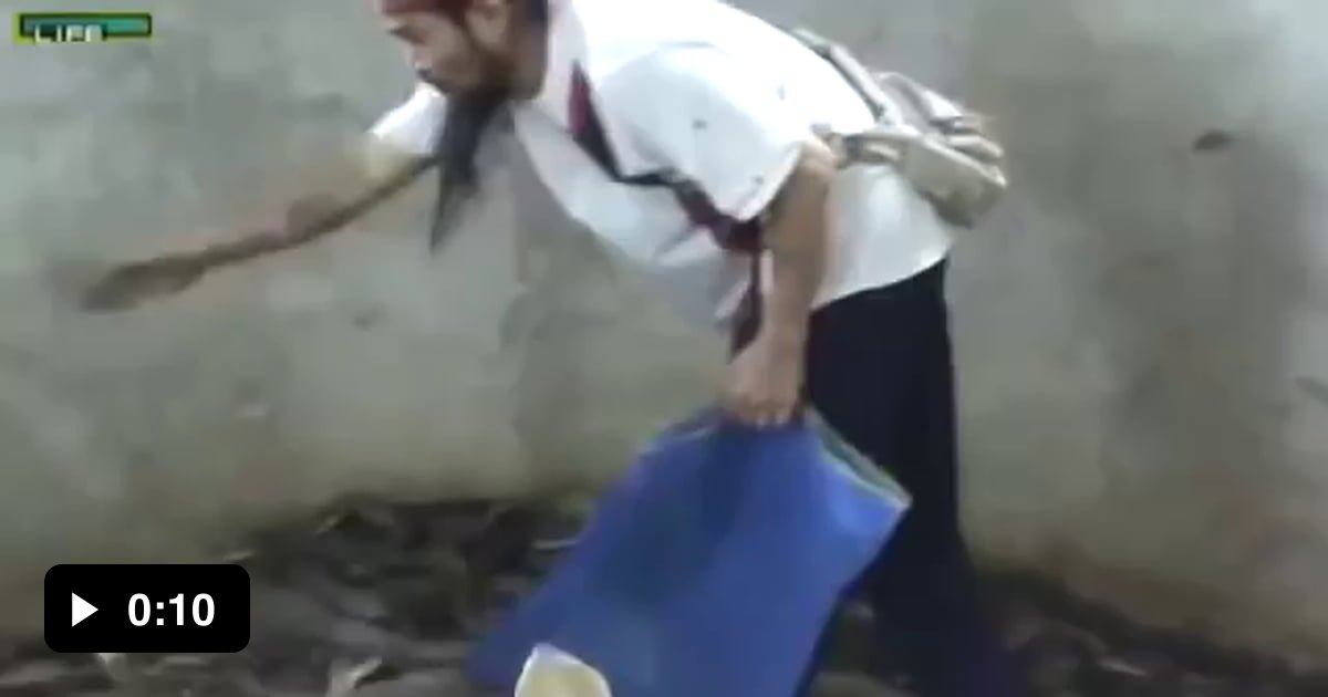 Snake? SNAAAKE!! - 9GAG