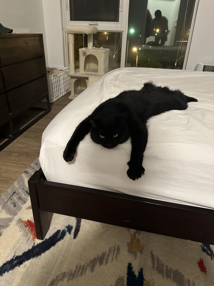 Does anybody else’s void like to rest in ridiculous positions? - 9GAG