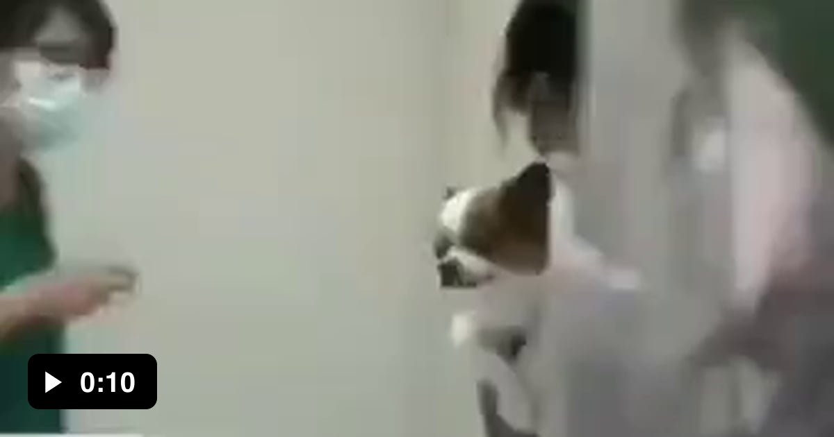 Oh sh*** oh sh*** - 9GAG