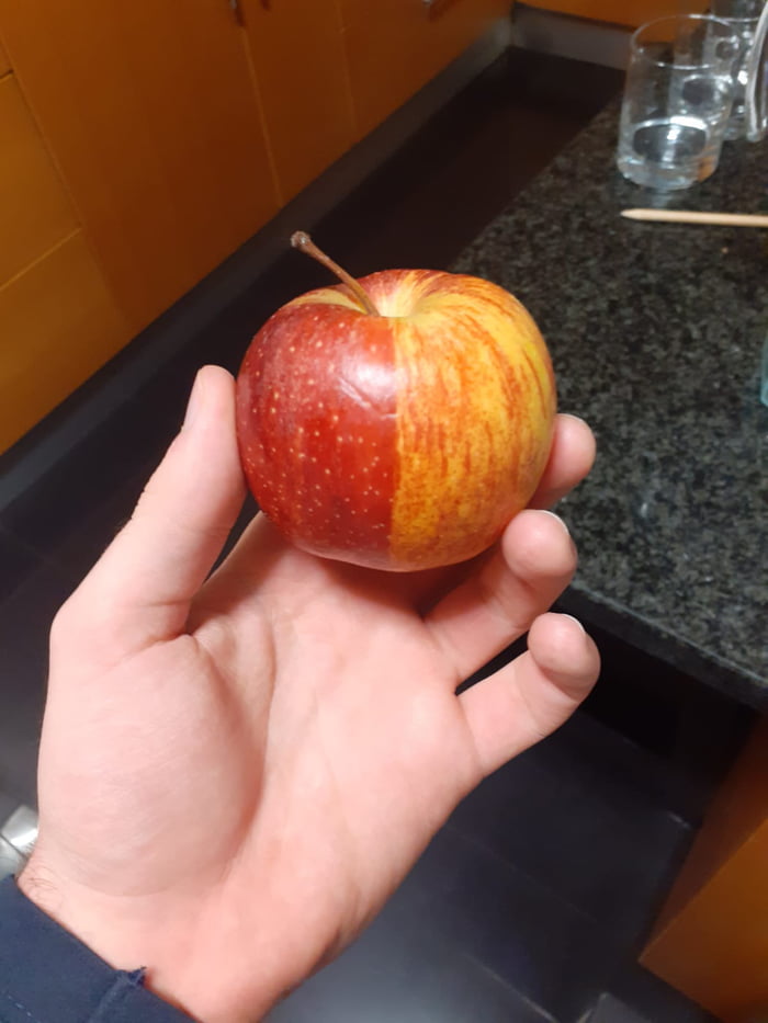 Check out this apple - 9GAG
