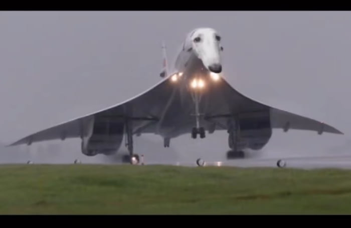 The majestic Concorde - 9GAG