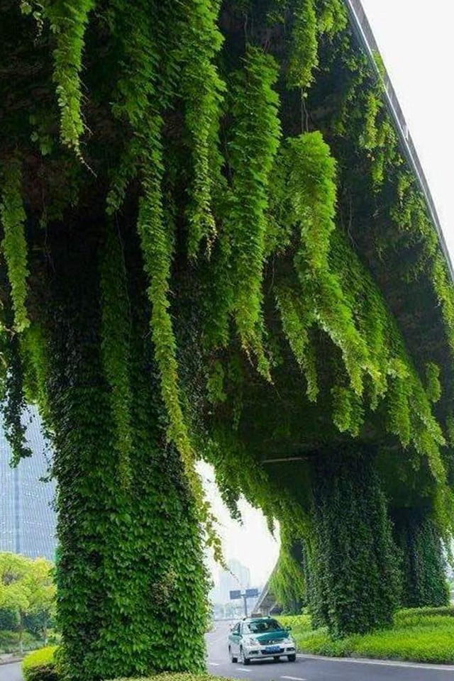 Vertical Garden Below Underpass - 9GAG