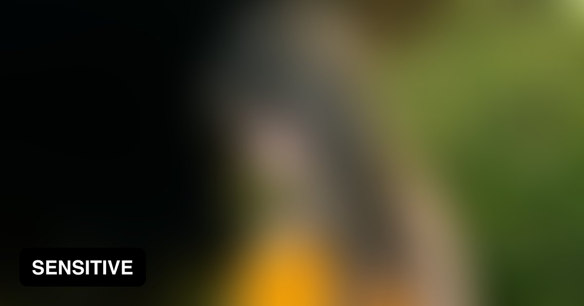 Beautiful In Orange 9gag