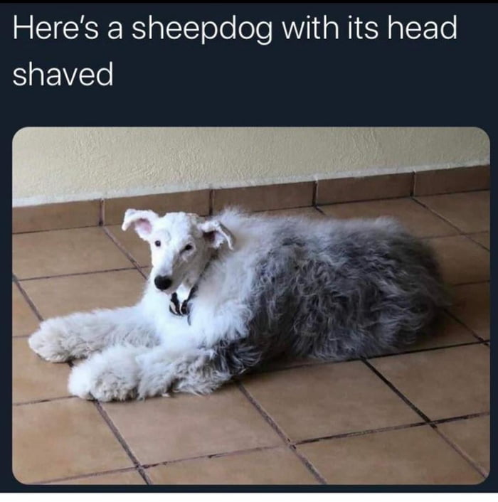 Cursed Image - 9GAG