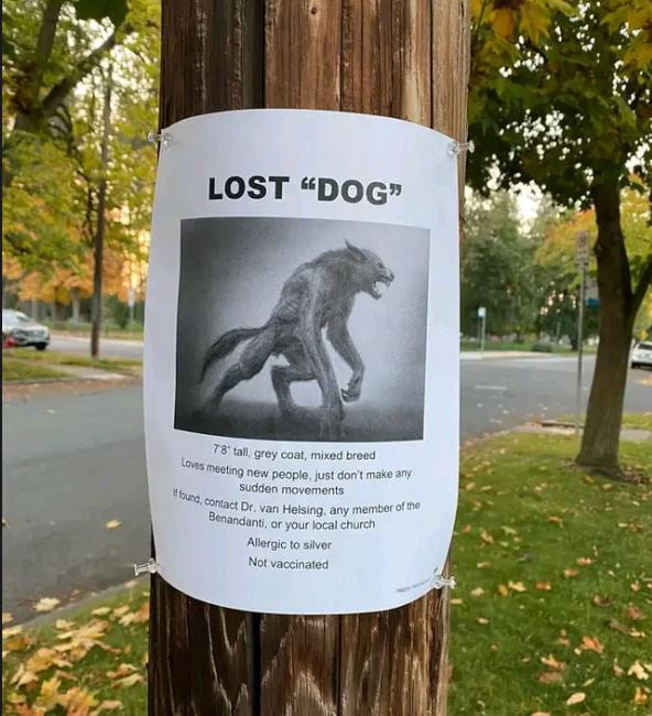 Never going outside again if this a lost "DOG" - 9GAG