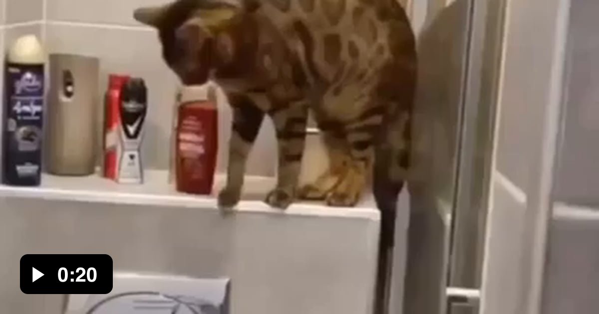 Interior Designer - 9GAG