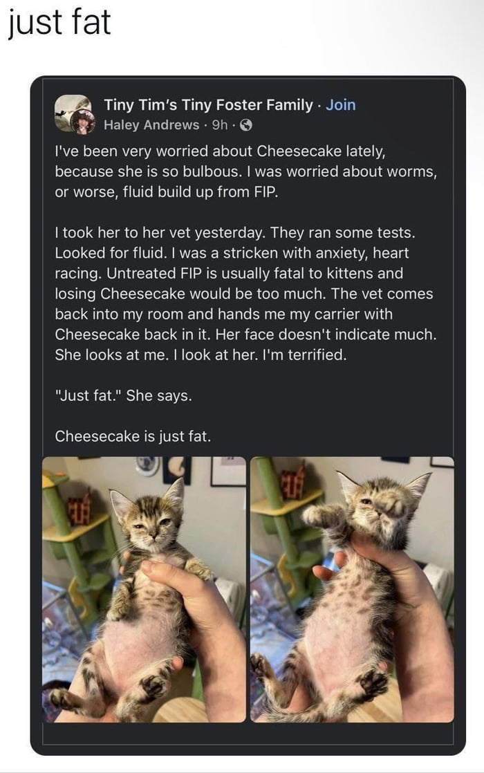 Another Chonker joins the secret fraternity - 9GAG