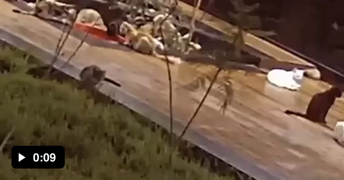 Bro got the rizz... - 9GAG