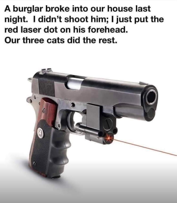 Fur attack!!! - 9GAG