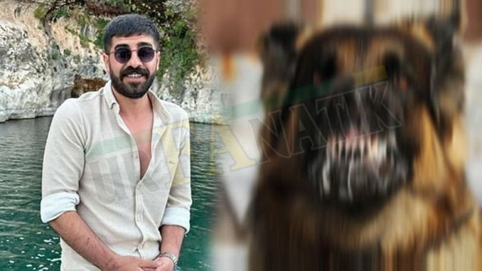 ALERT TO EVERBODY!!! RABIES IN TURKEY !!!! Young architect Mr.Lutfu ...