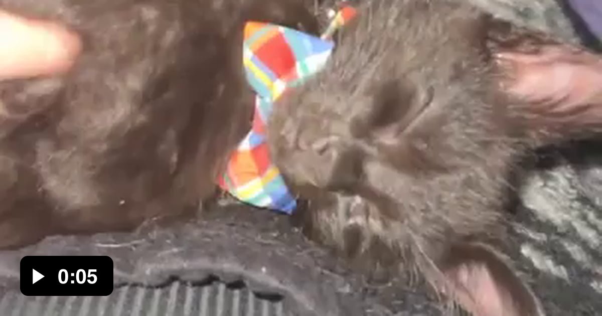 No words needed for smol void - 9GAG