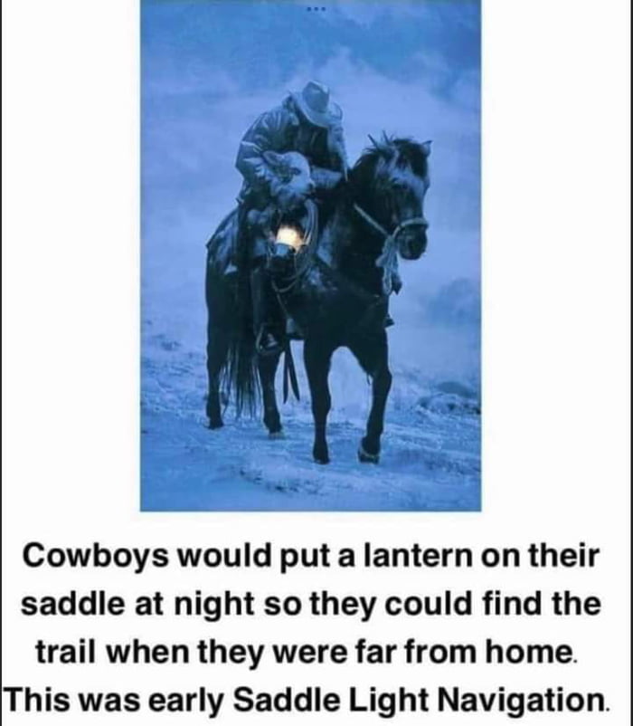 It was right by the horn - 9GAG