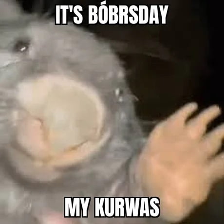 Happy bobenski day you degens - 9GAG