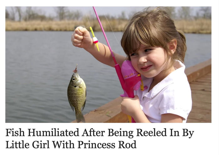 Fish humiliated - 9GAG
