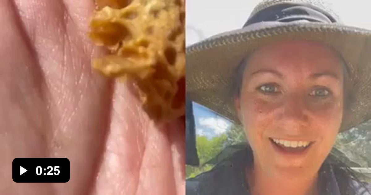 Birth of a Queen bee - 9GAG