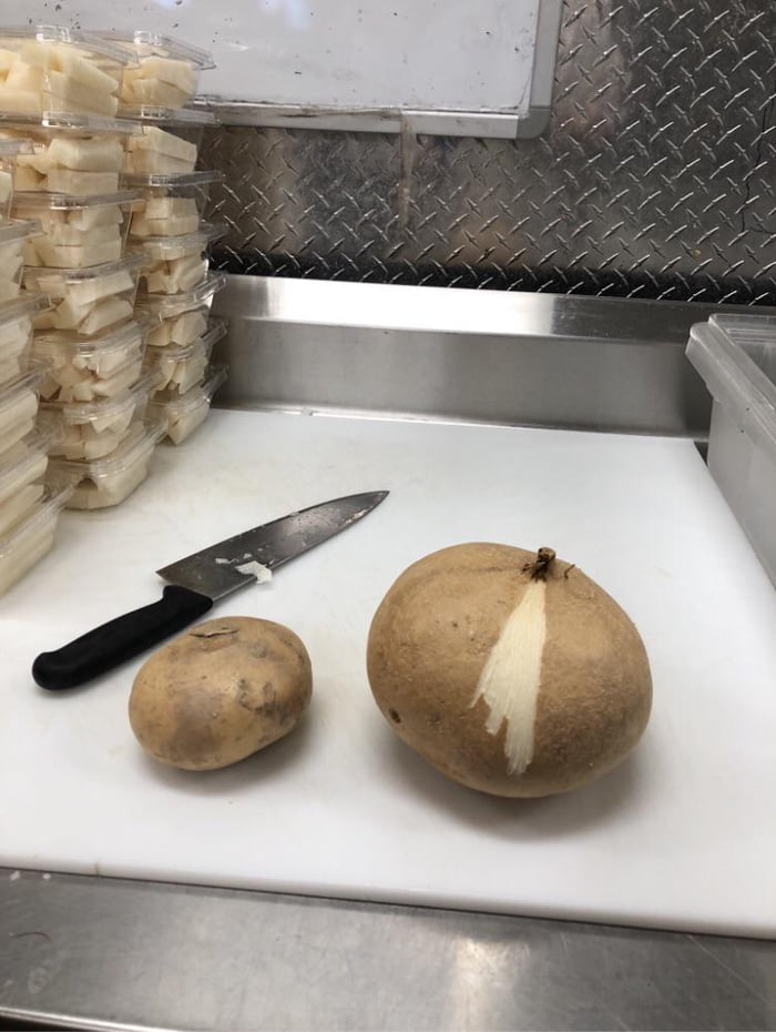 The left one is a normal sized jicama. - 9GAG