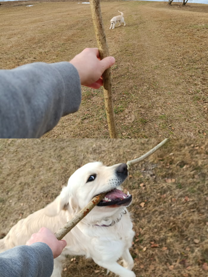 I have.....ok i had a perfect stick. - 9GAG