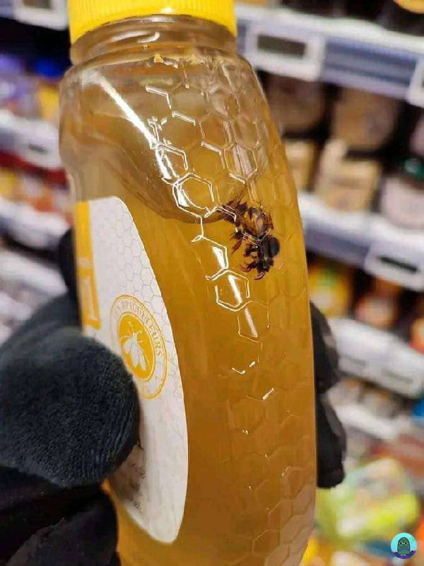 Real honey real bee - 9GAG