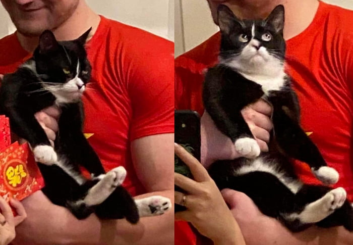 Meme potential? - 9GAG