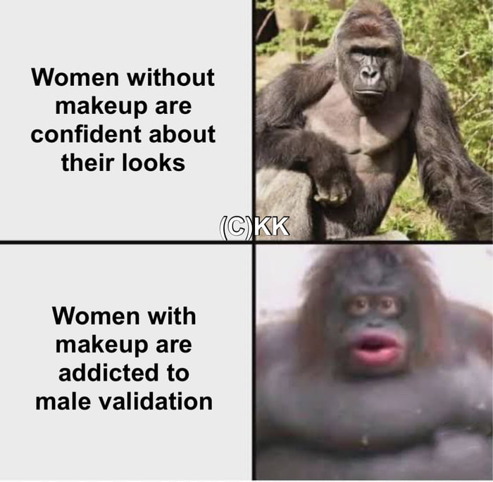 Women without makeup Vs. Women with makeup - 9GAG