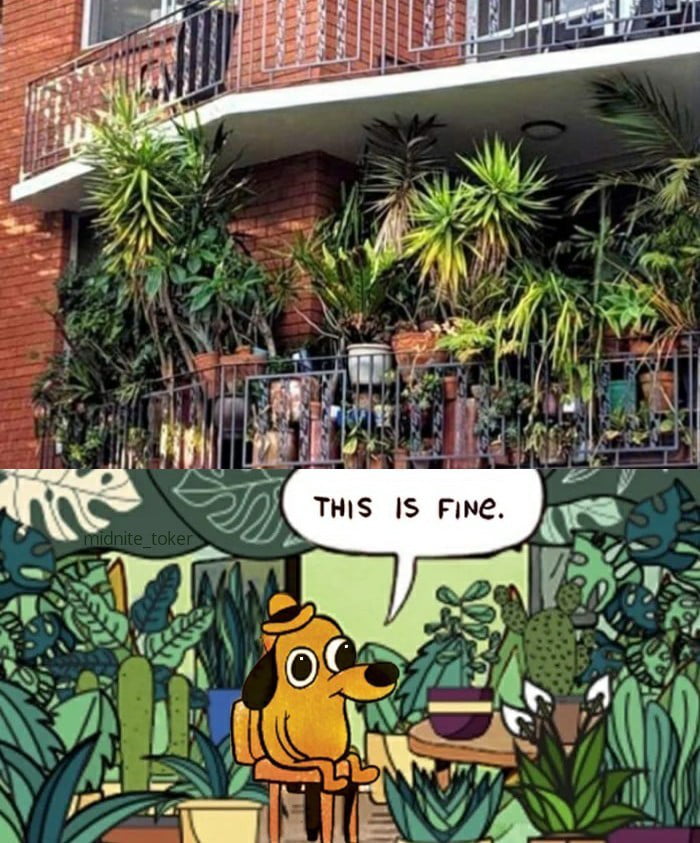 Everything is fine - 9GAG