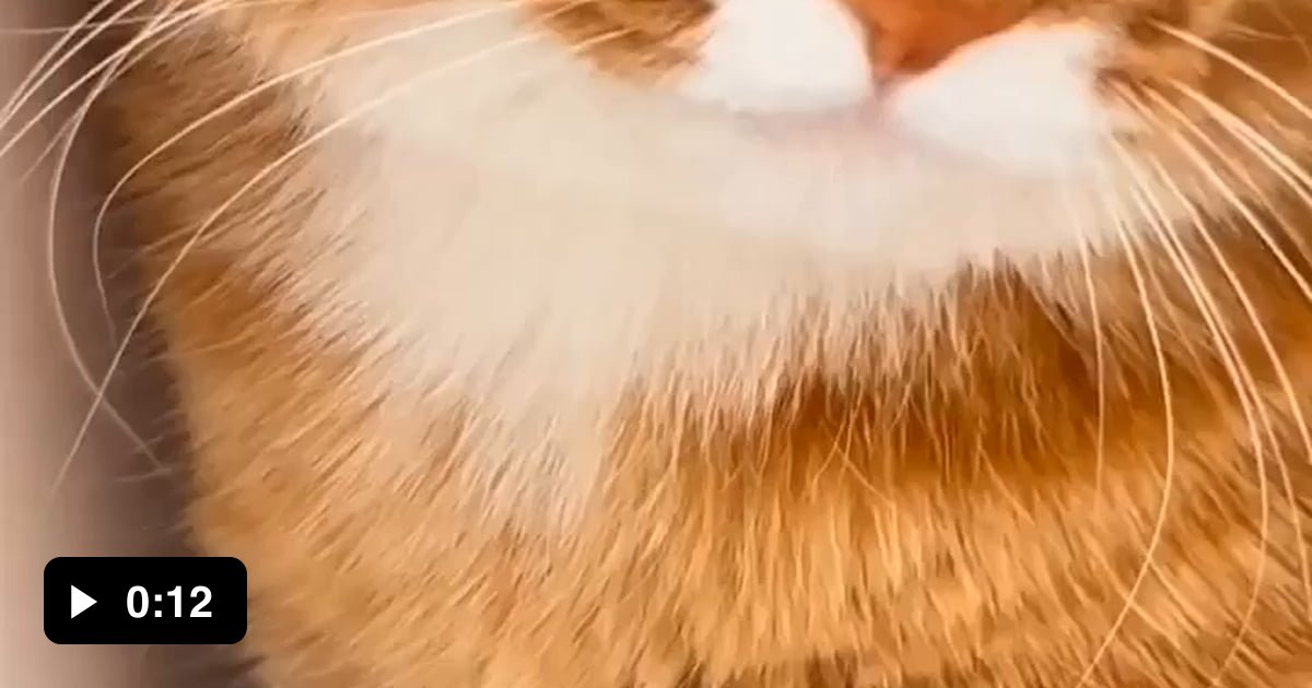 Would Cuddle 9gag