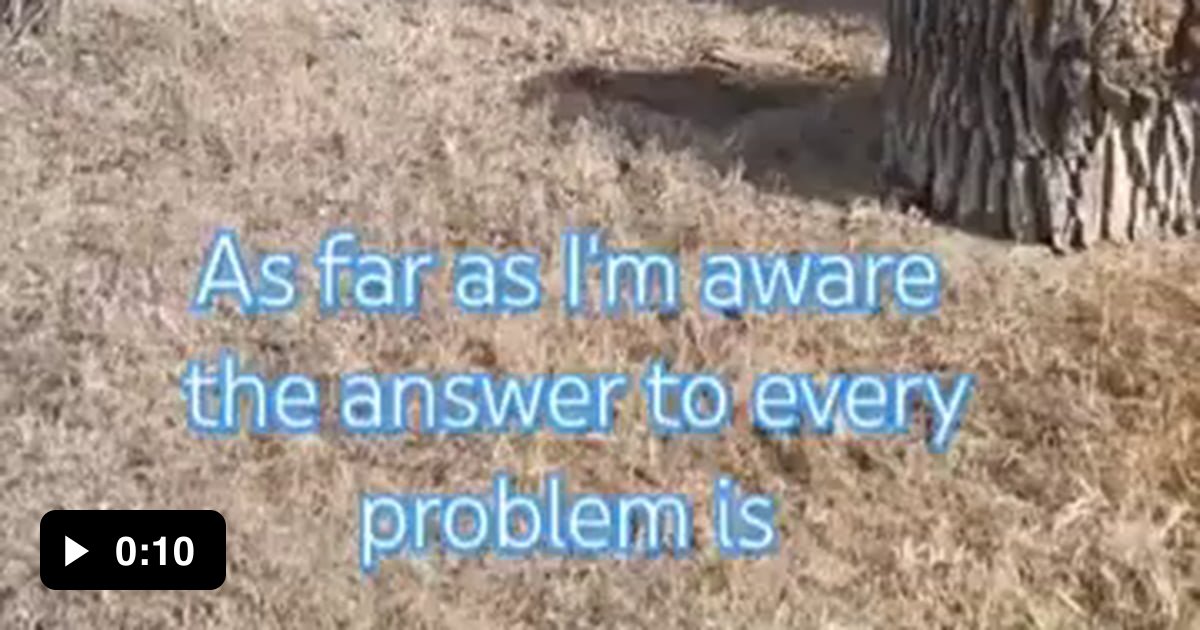 The Answer to Every Problem is Dog 🐕🦺🐕🐩🐶🐾🦴 - 9GAG