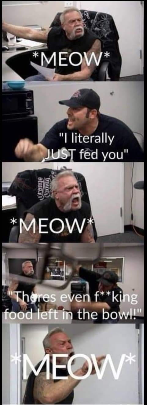 Meow - 9GAG
