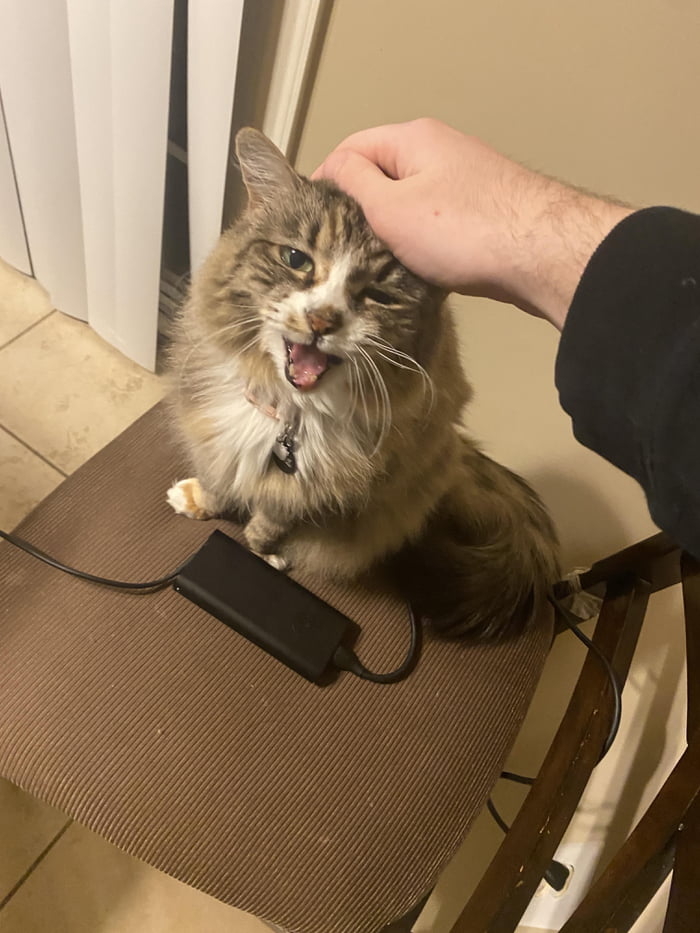 The ole lady always yappin!!! - 9GAG