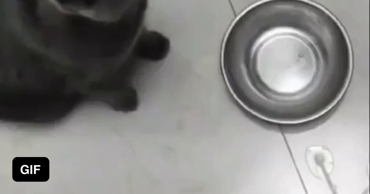 Dropping hints - 9GAG