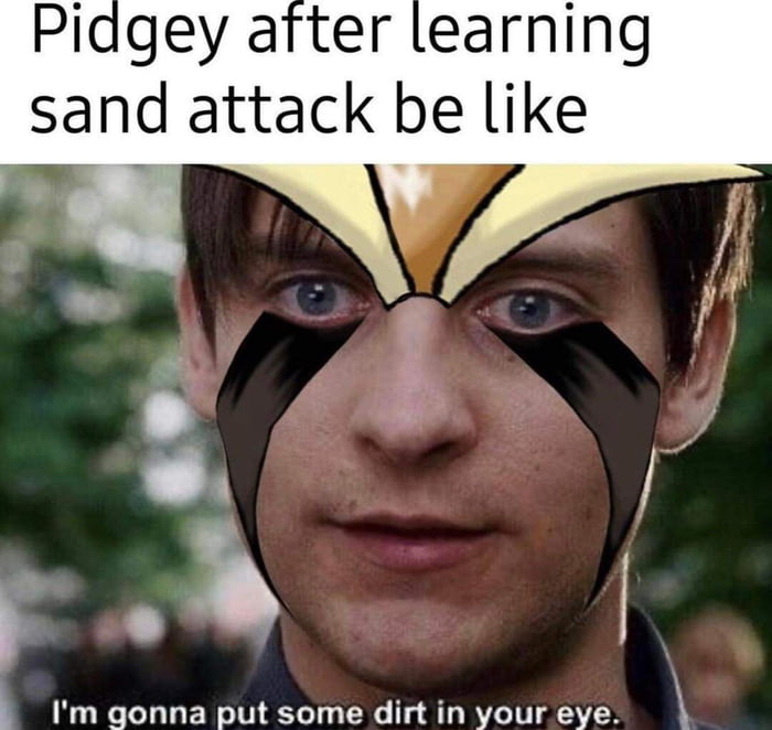 Don't f**k with Pidgey - 9GAG
