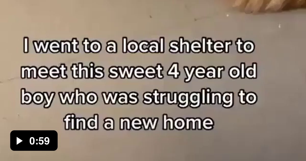 Crooks the cat is such a good boi. - 9GAG