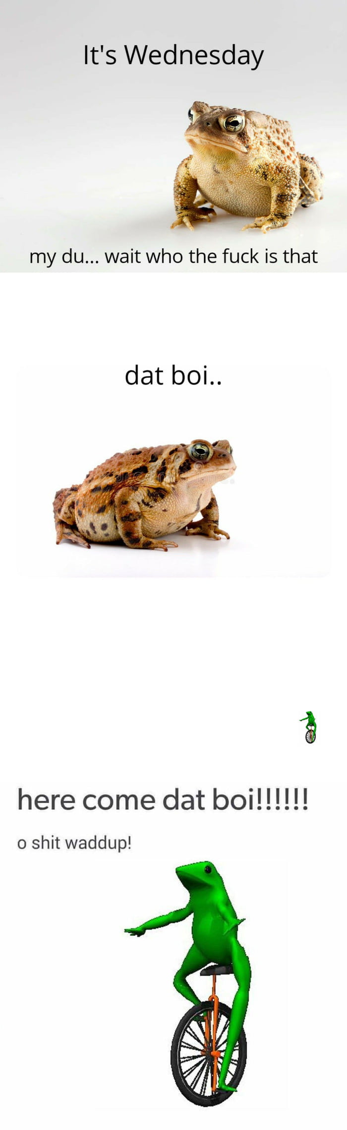 A happy Wednesday to all - 9GAG