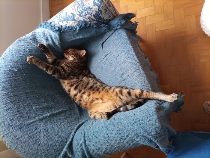 I don't know why my back hurts. Also me - 9GAG