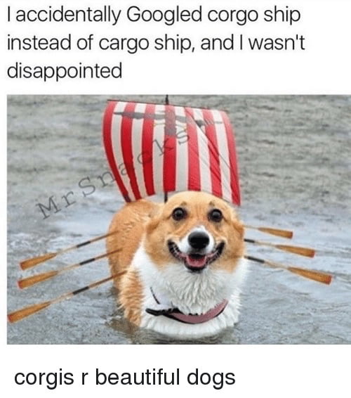 Corgo ship - 9GAG