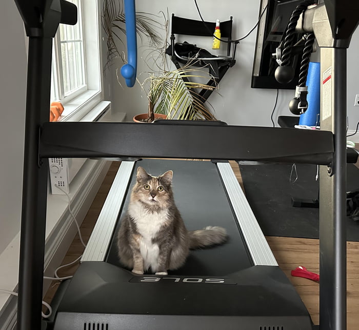 Treadmill maintenance worker. - 9GAG