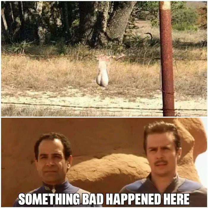 Something bad ... - 9GAG