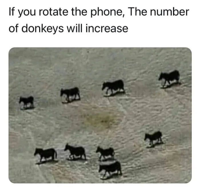 From archive 5 - 9GAG