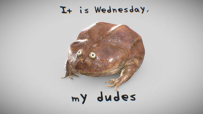 What does the cat say to the Wednesday frog? - 9GAG