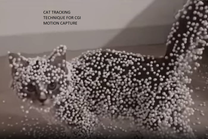 CGI Cat Tracking - 9GAG