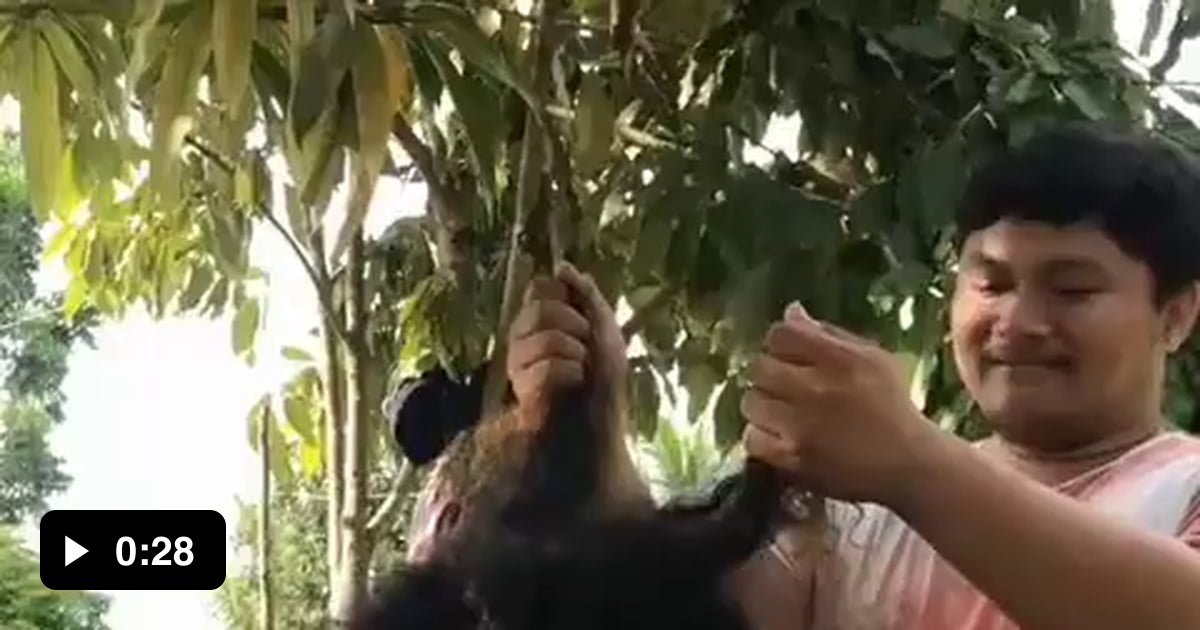 Recycle me cola original taste - 9GAG