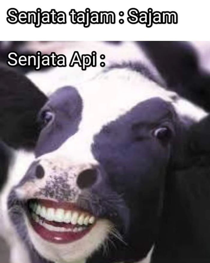 Daily dose of bapack bapack jokes - 9GAG