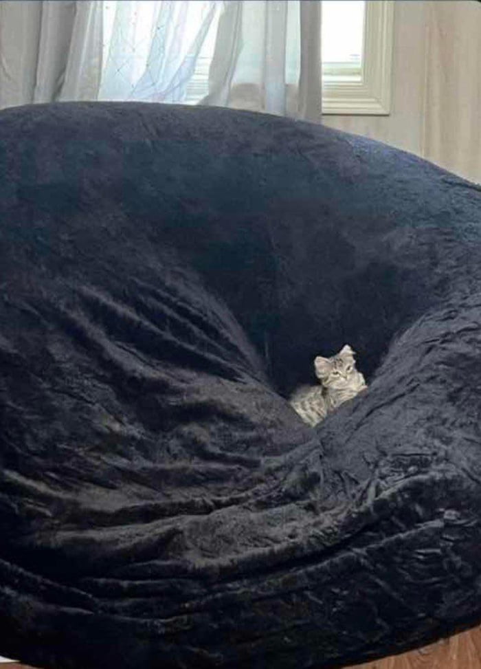 Big and small - 9GAG