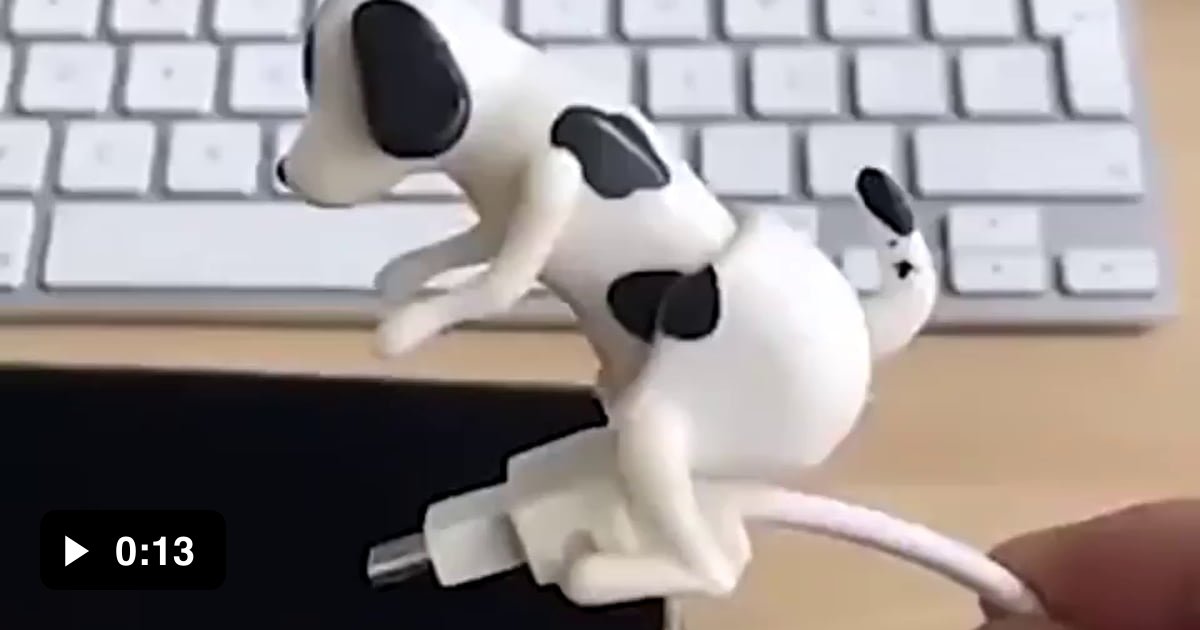 This F**king Dog Charger Cable. - 9GAG