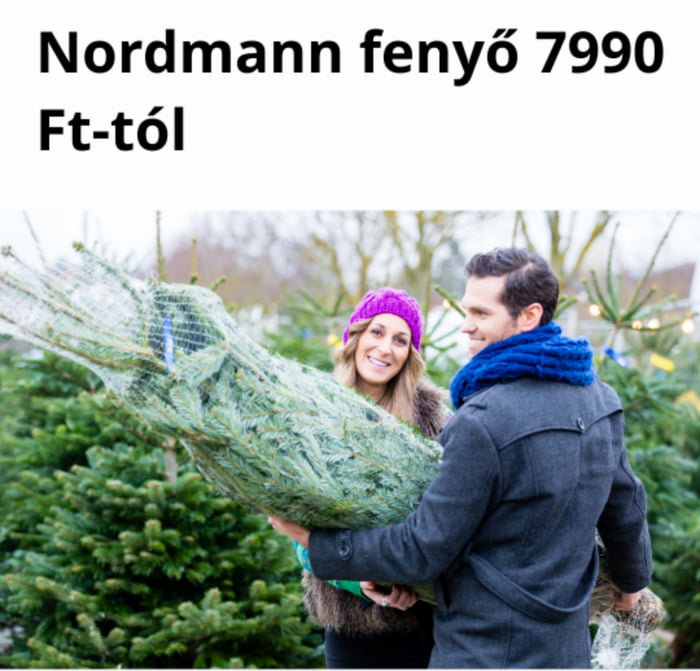 Na jó, akkor most normann, normand, nordman, vagy mi a faszom? - 9GAG